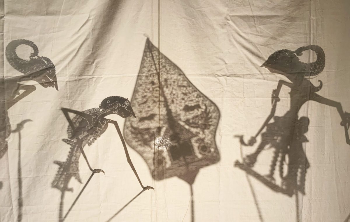 Javanese Ballet & Shadow Puppets - Gregory Allicar Museum of Art ...