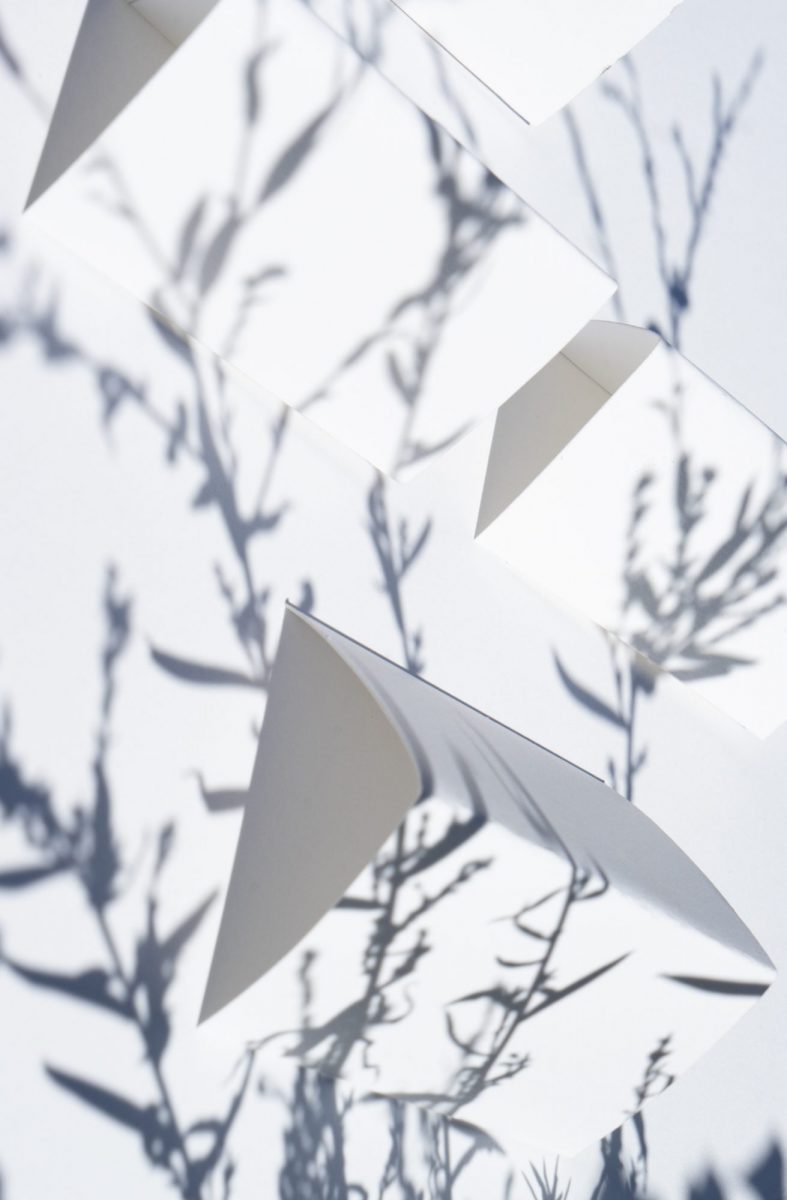 Brenda Biondo Artist Talk and Reception - Gregory Allicar Museum of Art ...